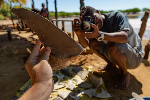 Meet The Explorers Club 50 Honorees | Discovery