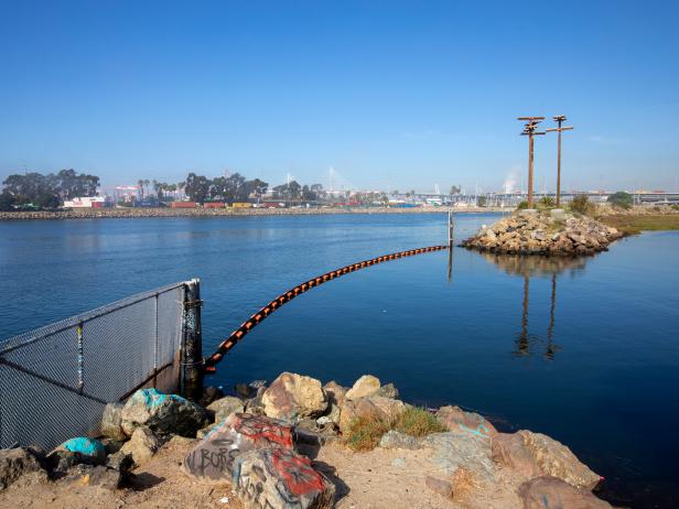Nature in Focus: Los Angeles River | Discovery