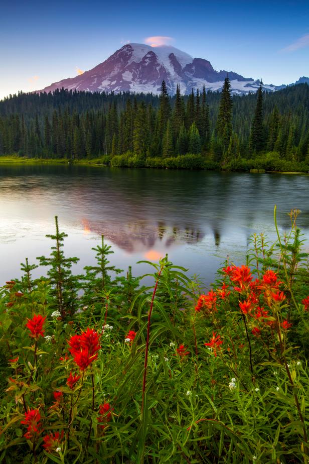 Spring in the Northern Hemisphere | Discovery