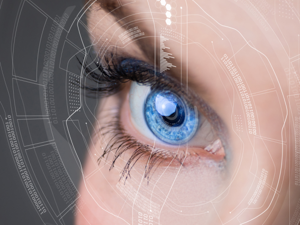 How Many Megapixels Is the Human Eye? | Discovery