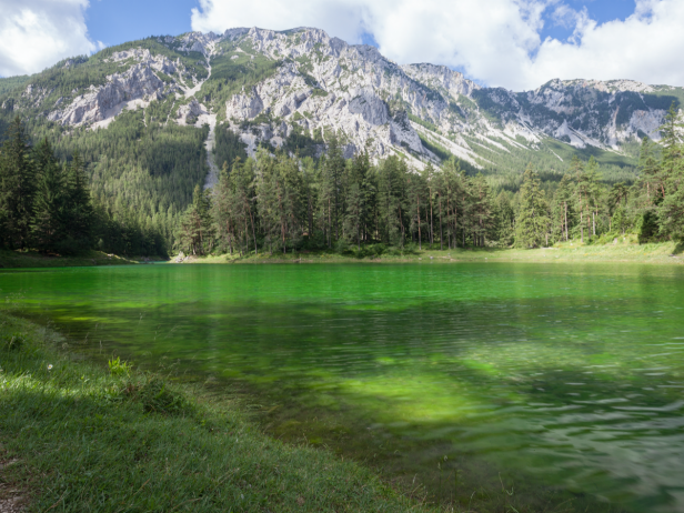 Austria's Grüner See Has A Park That's Underwater All Summer | Discovery