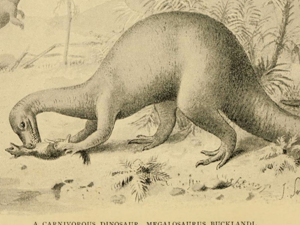 The First Dinosaur Fossil Was Named Before We Had A Word For Dinosaurs ...