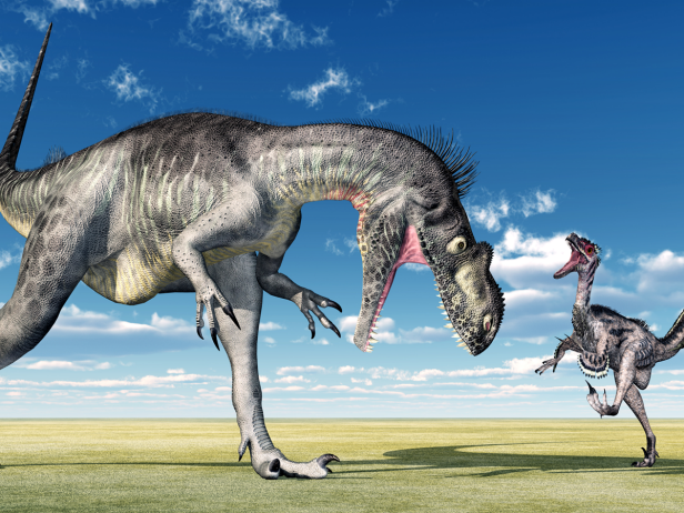 The First Dinosaur Fossil Was Named Before We Had A Word For Dinosaurs ...