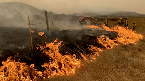 Witness the Frontlines of California's Wildfires with New Discovery ...