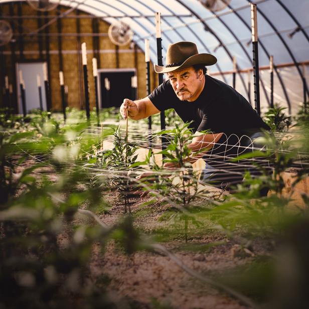 Growing Belushi Official Show Page | Discovery