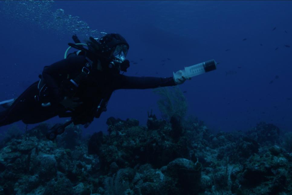 Best Behind the Scenes Moments from Shark Week 2021 | Discovery