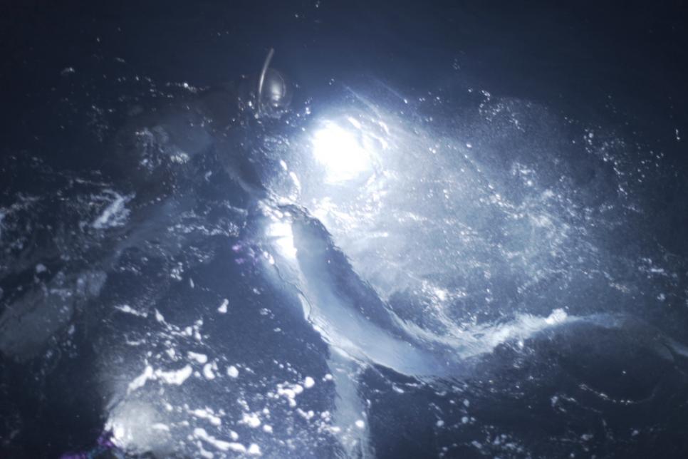 Go Behind the Scenes of Return to Shark Vortex | Discovery