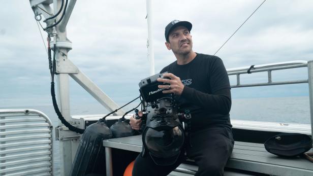 Shark Week 2022 Snuffy The Seal