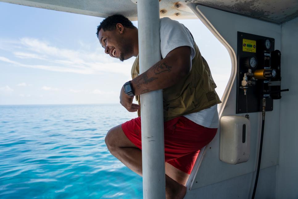 Stream Jackass Shark Week 2.0 on discovery+ | Discovery