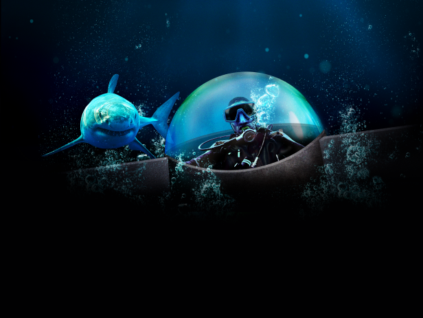 Mission Shark Dome | Discovery