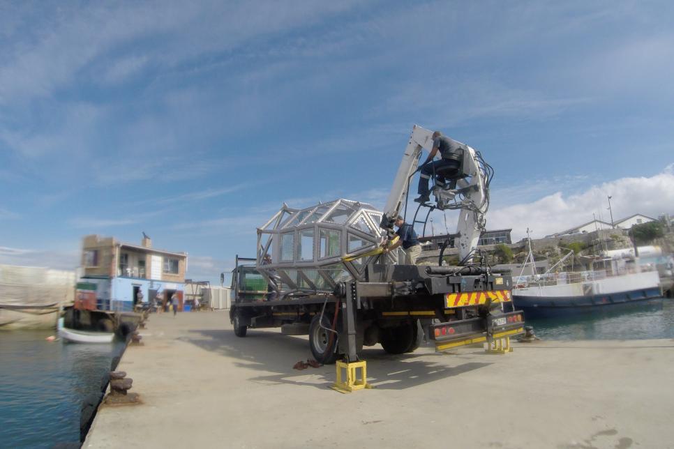 Behind the Scenes: Shark House | Discovery