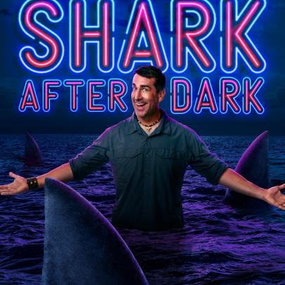 The Latest Shark Week News on Discovery | Discovery