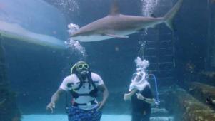 Shaq Does Shark Week | Discovery