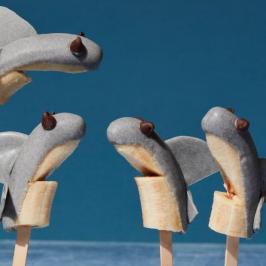 The Latest Shark Week News on Discovery | Discovery