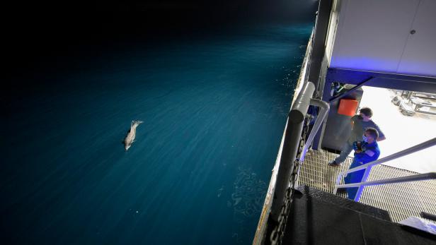 Spacex Dragon Splashdown