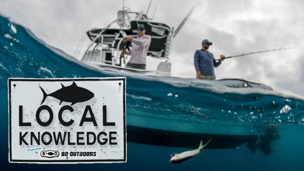 Local Knowledge | Discovery