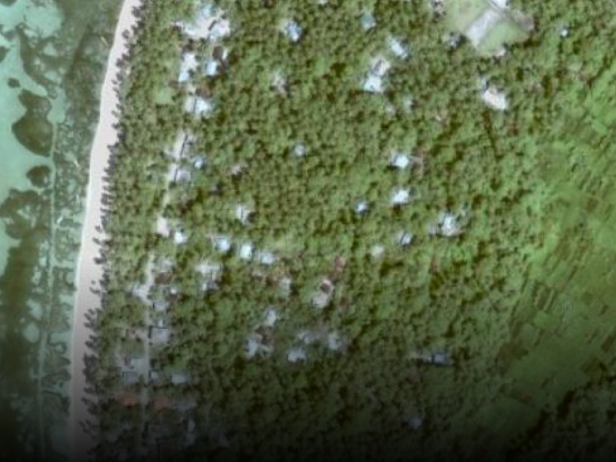 Explore Pingelap Atoll, an Island Where Colorblindness Runs Rampant ...