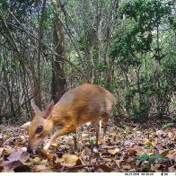 Get to Know Minnie Beets of Discovery's Gold Rush | Discovery