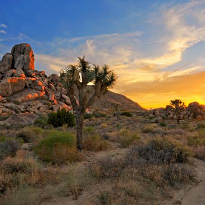 Travel and Exploration | Discovery