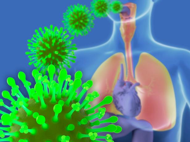 How the Flu Spreads, and How You Can Stop It | Discovery