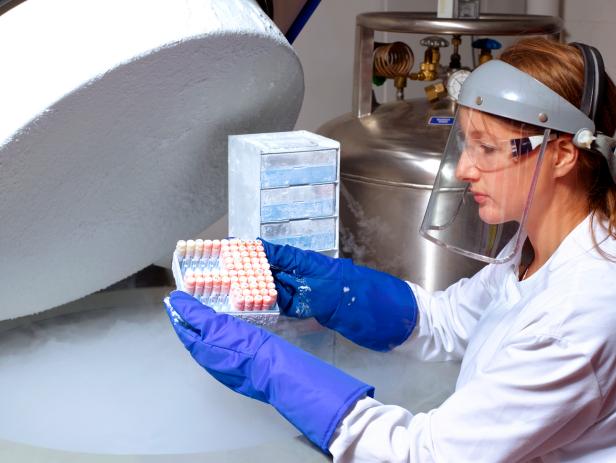 Are Zombies Possible? | Discovery