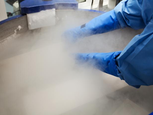 Are Zombies Possible? | Discovery