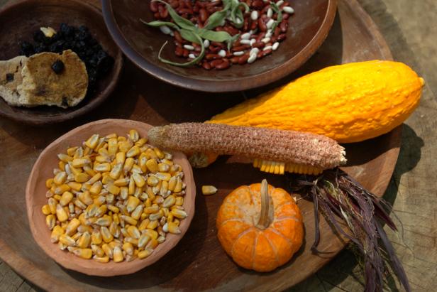 The Three Sisters: Squash, Corn, and Beans | Discovery