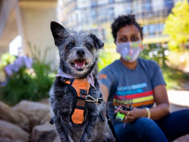 National Animal Shelter and Rescue Week | Discovery