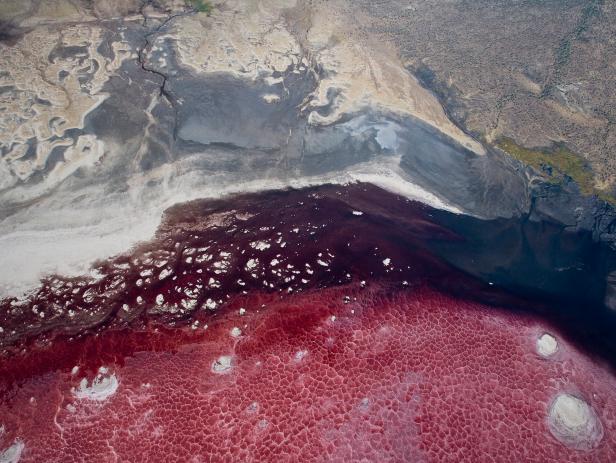 This Tanzanian Lake is a Vision in Red- And You Can Visit | Discovery