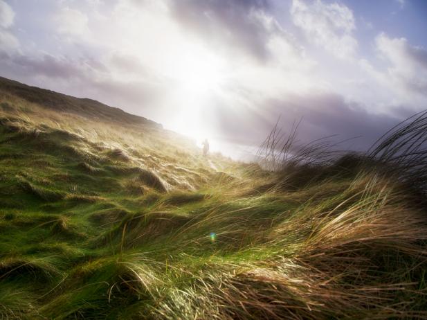 Celebrate Earth Day with 4 Reasons Why the Earth is the Best Planet for ...