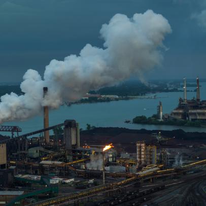 Discovery Channel Shows and Articles | Discovery