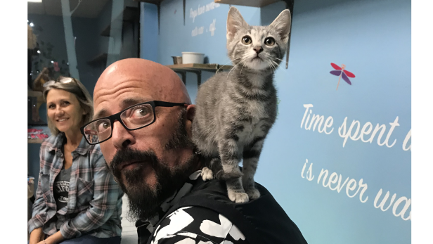 Animal Planet's Jackson Galaxy's Shares Fur Family Tips | Nature and ...