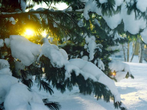 What is the winter solstice and how should you mark it? | Discovery