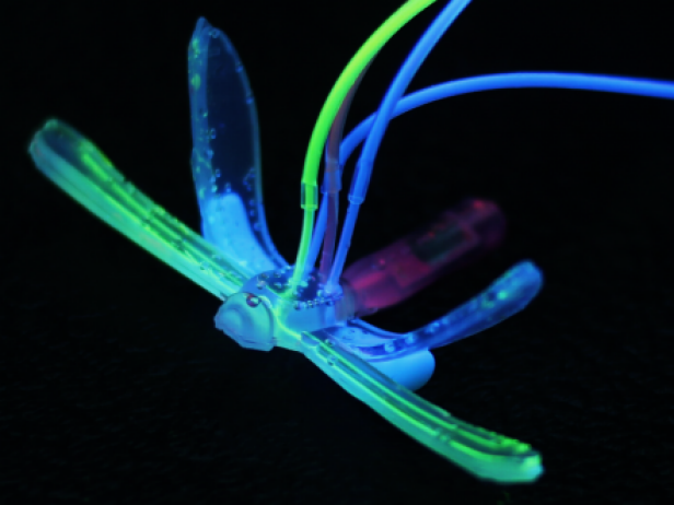 What is Soft Robotics? | Discovery