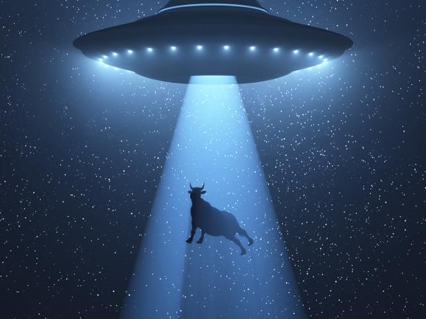 What are Cosmic Cows? | Discovery