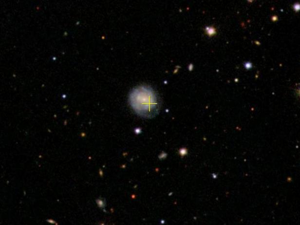 What are Cosmic Cows? | Discovery