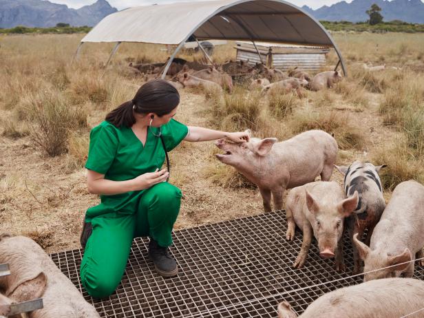 This New AI Technology is Closer and Closer to Helping Us “Talk” to ...