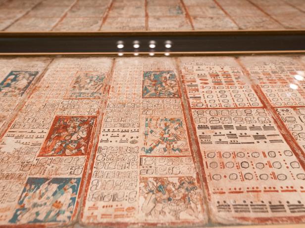 How One Teenager in Canada Discovered an Entire Mayan City | Discovery