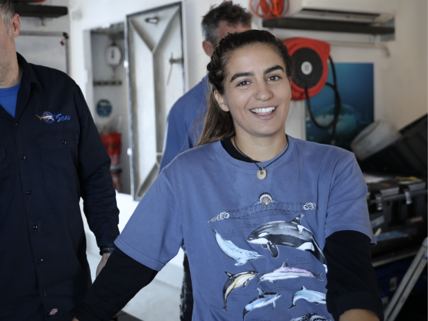 Shark Week: The Podcast – Madison Stewart discusses helping Shark ...