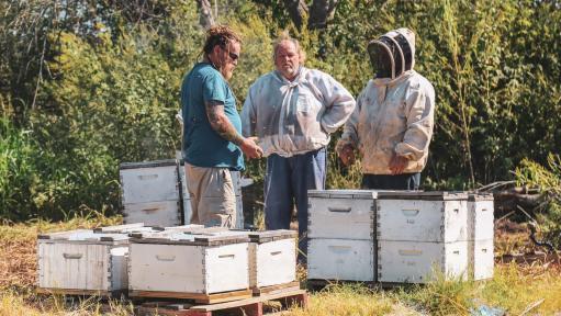 Bee Czar | Discovery