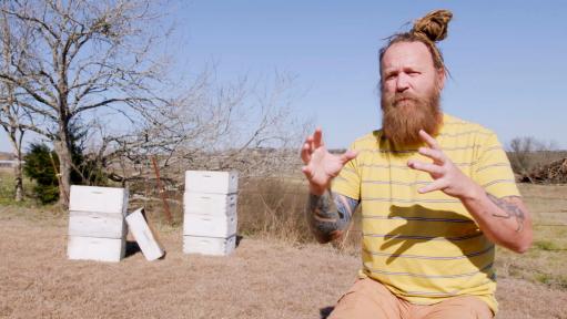 Bee Czar | Discovery