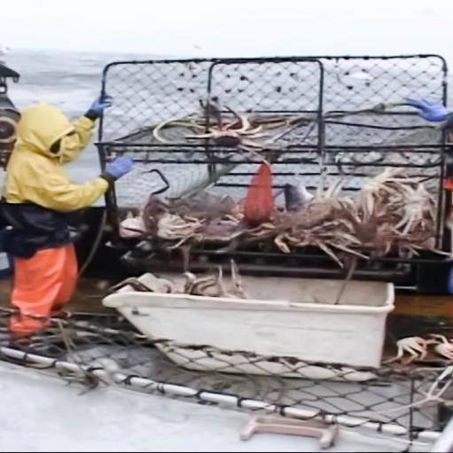 Episodes Discoverys Deadliest Catch Discovery