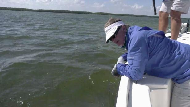 Biscayne Bay Bonefish | George Poveromo's World Of Saltwater Fishing ...
