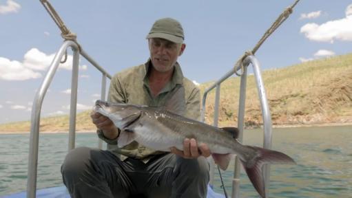 Jeremy Wade's Dark Waters | Discovery