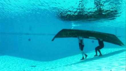 Discovery Channel Shows and Articles | Discovery