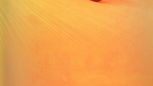 The Devils Ride | Discovery