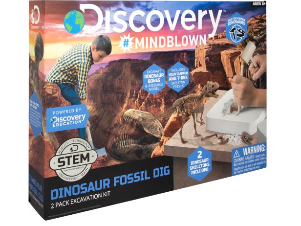 Celebrate National STEM/STEAM Day | Discovery