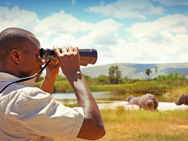 See How New Technology is Transforming Wildlife Protection | Discovery