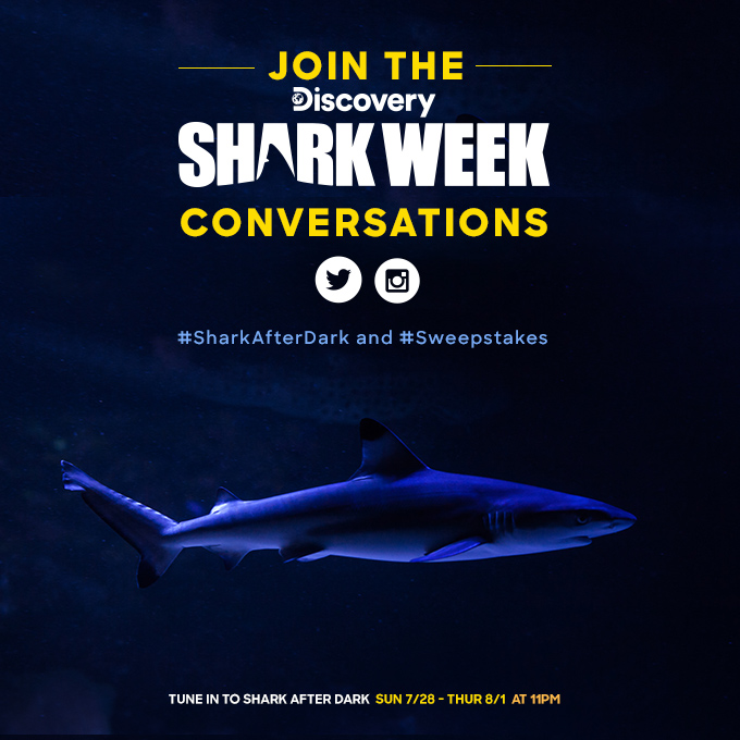 Discovery Channel Shows and Articles | Discovery