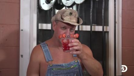 Discovery Channel Shows and Articles | Discovery